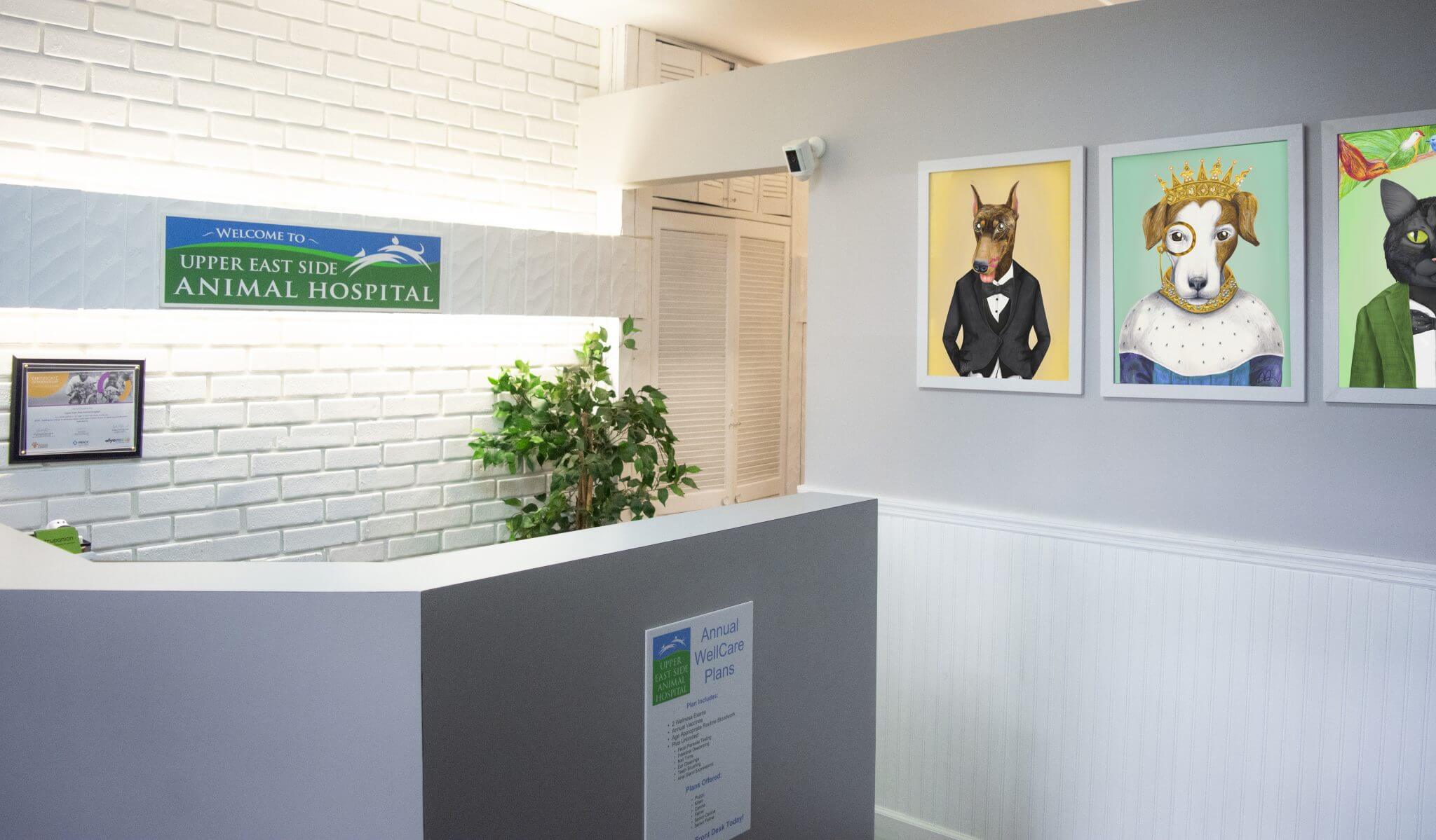 Upper East Side lobby - Shadow Lake Animal Hospital